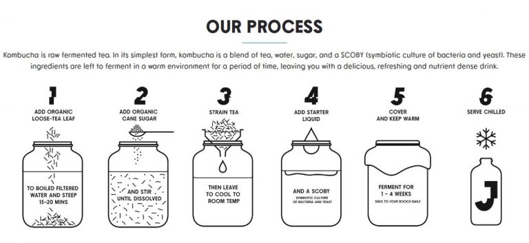 Learning about kombucha - The deVOL Journal - deVOL Kitchens
